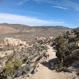 Ryan Mountain, California - 7,410 Reviews, Map | AllTrails