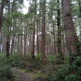 Cape Alava Trail, Washington - 556 Reviews, Map | AllTrails