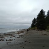 Cape Alava Trail, Washington - 556 Reviews, Map | AllTrails