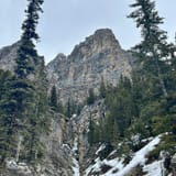 Castle Mountain Lookout Trail, Alberta, Canada - 1,792 Reviews, Map ...