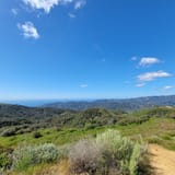 Trippet Ranch to Eagle Springs Loop Trail, California - 842 Reviews ...