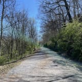 Tweetsie Trail, Tennessee - 704 Reviews, Map | AllTrails