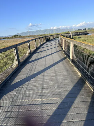 Best Hikes and Trails in Sunnyvale Baylands Park | AllTrails