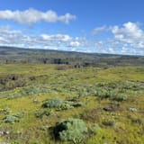 Rowena Plateau Trail, Oregon - 747 Reviews, Map | AllTrails