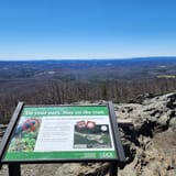 Buffalo Mountain Trail, Virginia - 657 Reviews, Map | AllTrails