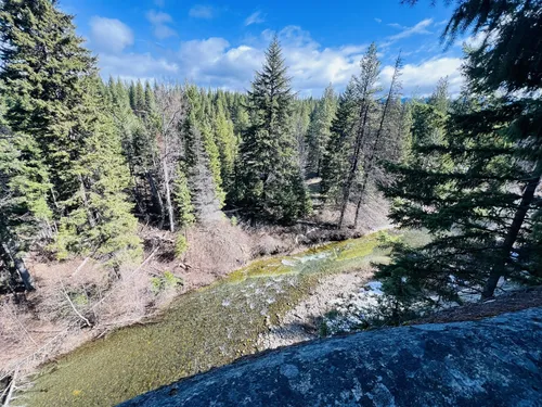 Best Hikes and Trails in Teanaway Community Forest | AllTrails