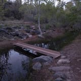 Dragonfly Trail, Arizona - 1,344 Reviews, Map | AllTrails