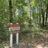 Britton Hill - Florida Highpoint, Florida - 199 Reviews, Map | AllTrails