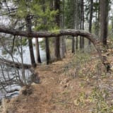 Suttle Lake Loop, Oregon - 857 Reviews, Map | AllTrails