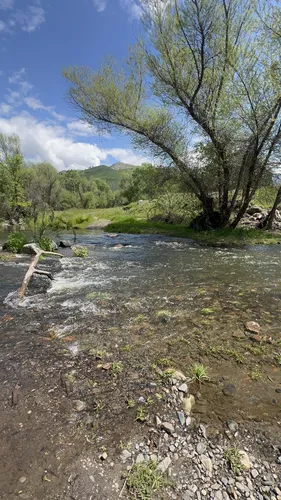 Best Hikes and Trails in Lemon Cove | AllTrails