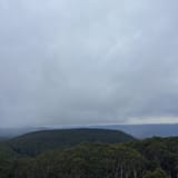 Mount Victoria Track, Victoria, Australia - 287 Reviews, Map | AllTrails