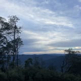 Mount Victoria Track, Victoria, Australia - 287 Reviews, Map | AllTrails