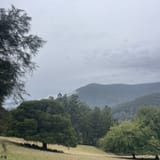 Mount Victoria Track, Victoria, Australia - 287 Reviews, Map | AllTrails