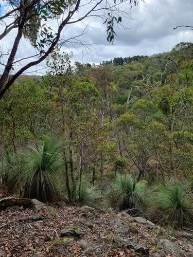 Best Hard Trails in Brisbane Ranges National Park | AllTrails