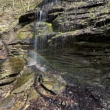 Fall Hollow Falls Trail, Tennessee - 173 Reviews, Map | AllTrails