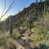 Romero Canyon Trail to Romero Pools, Arizona - 3,757 Reviews, Map ...