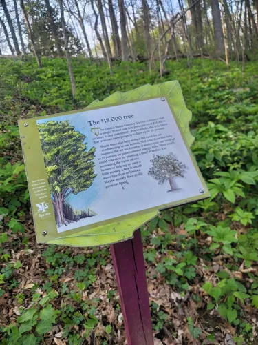 Best Hikes and Trails in Ijams Nature Center | AllTrails