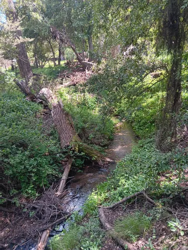 Best Hard Trails in Los Altos | AllTrails