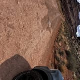 Shafer Trail, Utah - 1,009 Reviews, Map | AllTrails