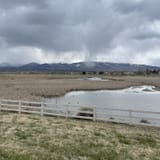 Damonte Ranch Wetland Loop, Nevada - 1,123 Reviews, Map | AllTrails