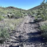Slate Trail, Arizona - 506 Reviews, Map | AllTrails