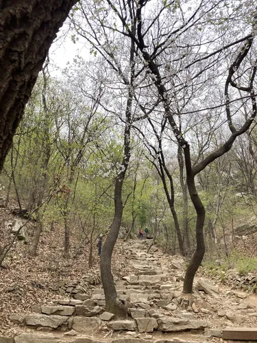 Best Hikes and Trails in Siheung-si | AllTrails