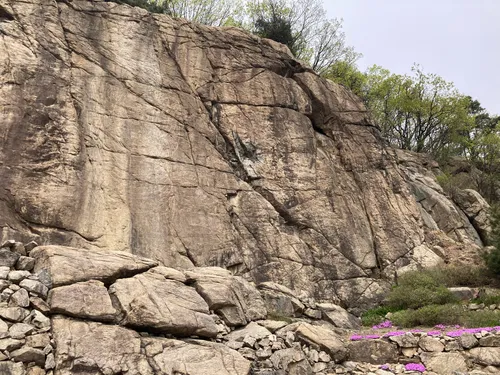 Best Hikes and Trails in Siheung-si | AllTrails