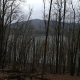Morrison and Rimrock Trail Loop, Pennsylvania - 546 Reviews, Map ...