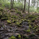 Morrison and Rimrock Trail Loop, Pennsylvania - 546 Reviews, Map ...