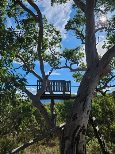 Best Moderate Trails in Jerrabomberra Mountain Reserve | AllTrails