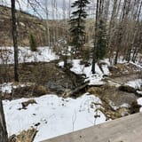 Big Hill Springs Trail, Alberta, Canada - 785 Reviews, Map | AllTrails