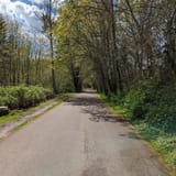 Minto-Brown Island Park, Oregon - 914 Reviews, Map | AllTrails