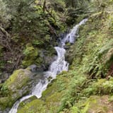 Cataract Falls Trail, California - 3,502 Reviews, Map | AllTrails