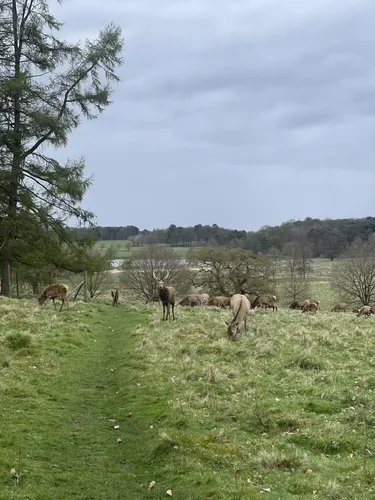 Best Lake Trails in Tatton Park | AllTrails