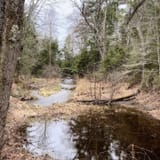 Arbutus Park and Raven Rookery Trail Loop , Massachusetts - 623 Reviews ...