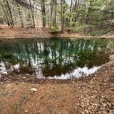 Arbutus Park and Raven Rookery Trail Loop , Massachusetts - 533 Reviews ...