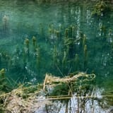 Arbutus Park and Raven Rookery Trail Loop , Massachusetts - 533 Reviews ...