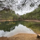 Arbutus Park and Raven Rookery Trail Loop , Massachusetts - 533 Reviews ...