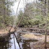Arbutus Park and Raven Rookery Trail Loop , Massachusetts - 623 Reviews ...