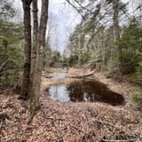 Arbutus Park and Raven Rookery Trail Loop , Massachusetts - 623 Reviews ...