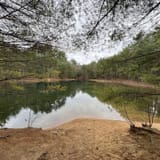 Arbutus Park and Raven Rookery Trail Loop , Massachusetts - 623 Reviews ...