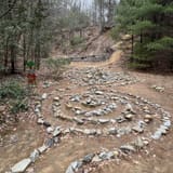 Arbutus Park and Raven Rookery Trail Loop , Massachusetts - 546 Reviews ...