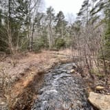 Arbutus Park and Raven Rookery Trail Loop , Massachusetts - 623 Reviews ...