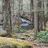 Arbutus Park and Raven Rookery Trail Loop , Massachusetts - 546 Reviews ...
