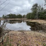 Arbutus Park and Raven Rookery Trail Loop , Massachusetts - 546 Reviews ...