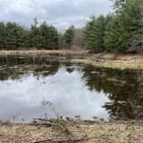 Arbutus Park and Raven Rookery Trail Loop , Massachusetts - 546 Reviews ...