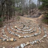 Arbutus Park and Raven Rookery Trail Loop , Massachusetts - 546 Reviews ...