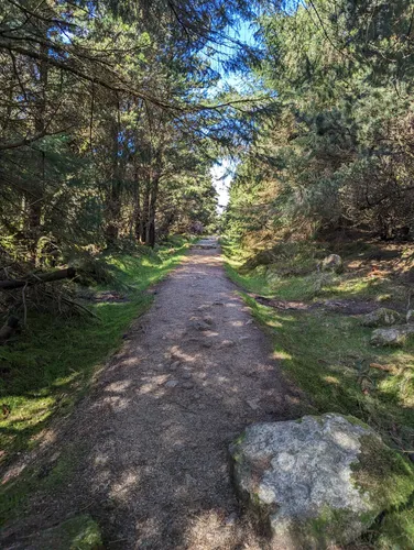 Best Camping Trails in Tibradden | AllTrails