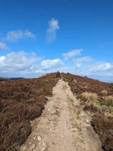 Best Camping Trails in Tibradden | AllTrails