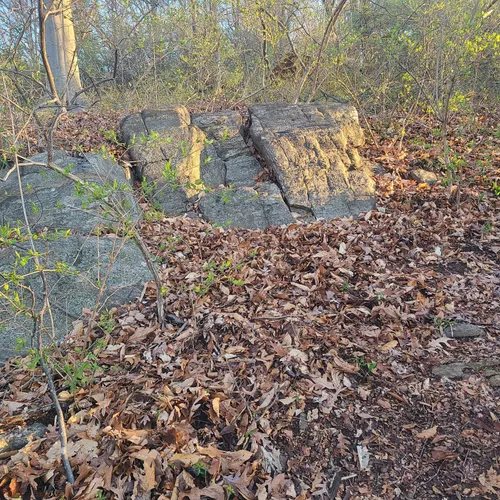 Best Hikes and Trails in Okehocking Preserve | AllTrails